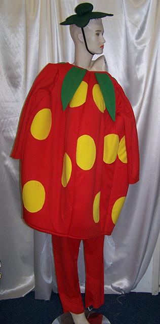 Strawberry (HIRE ONLY) – Mad World Fancy Dress